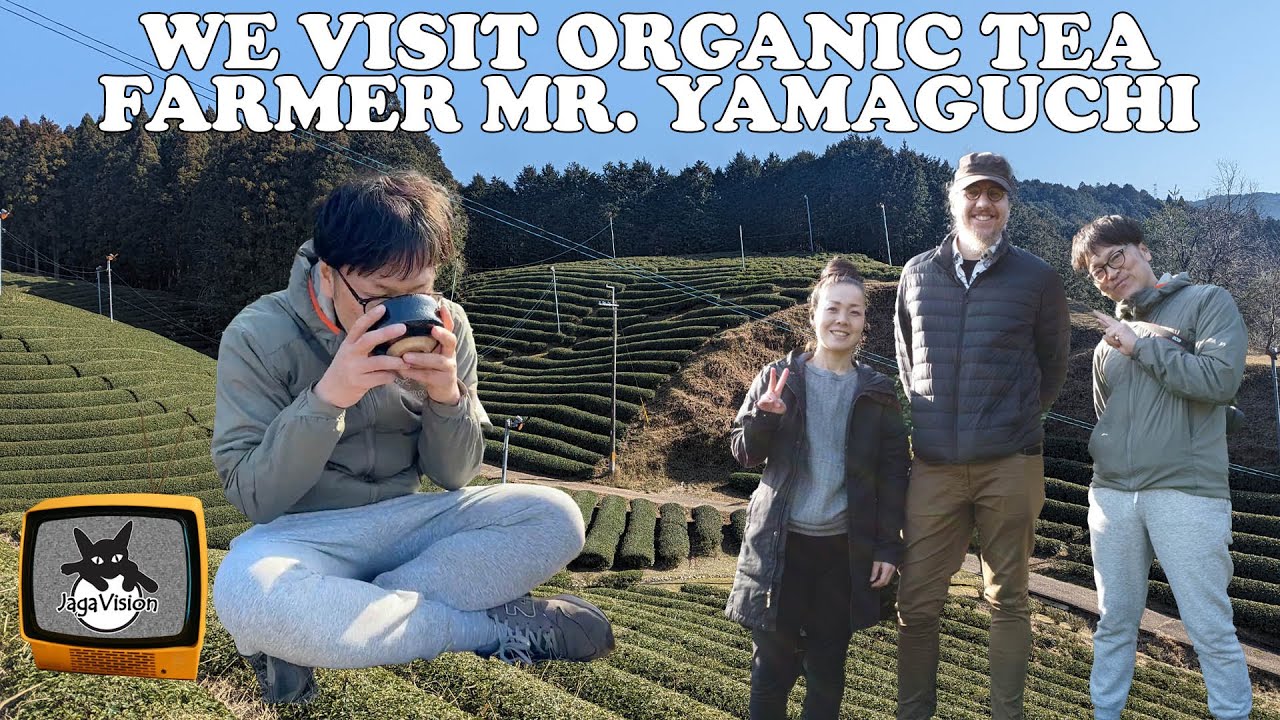 Visiting Organic Tea Farmer Mr.Yamaguchi (Ujitawara Kyoto Japan ...