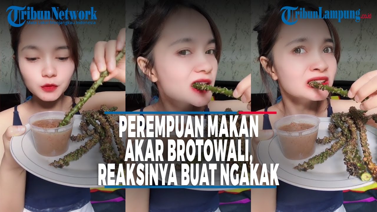 PEREMPUAN MAKAN AKAR BROTOWALI, REAKSINYA BUAT NGAKAK - YouTube