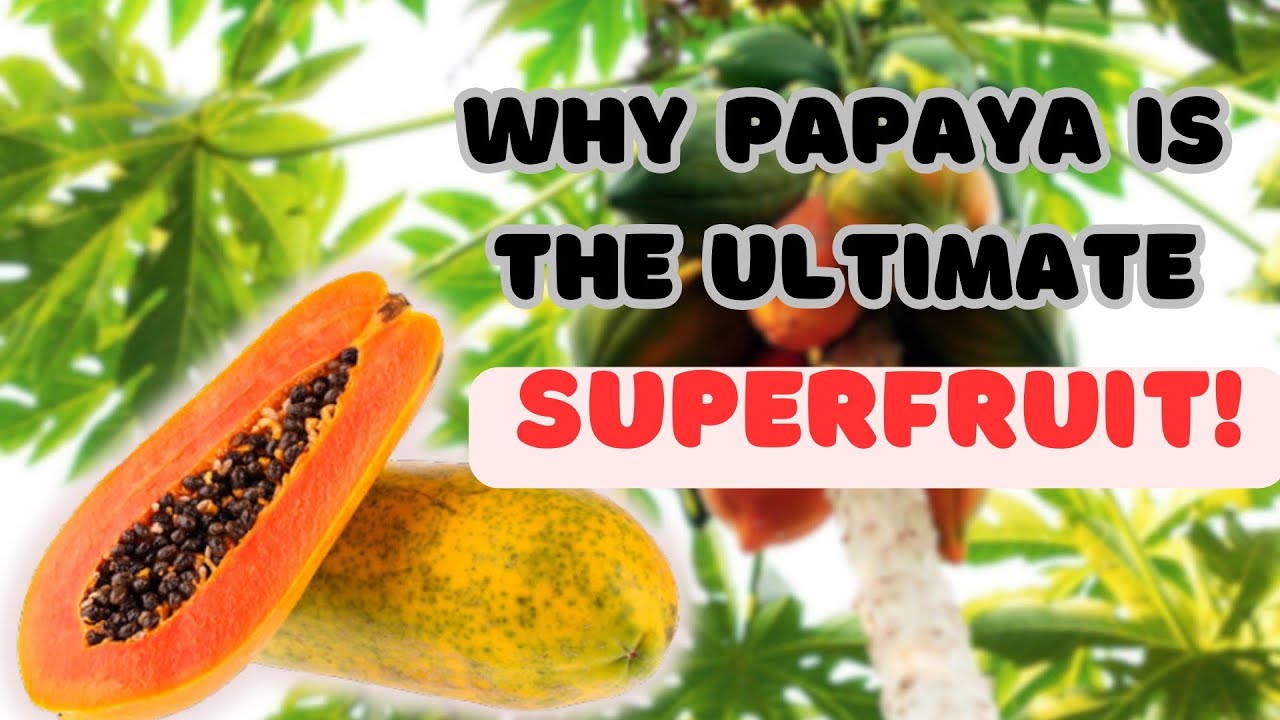 Amazing Facts About Papaya: The Fruit of Angels! - YouTube