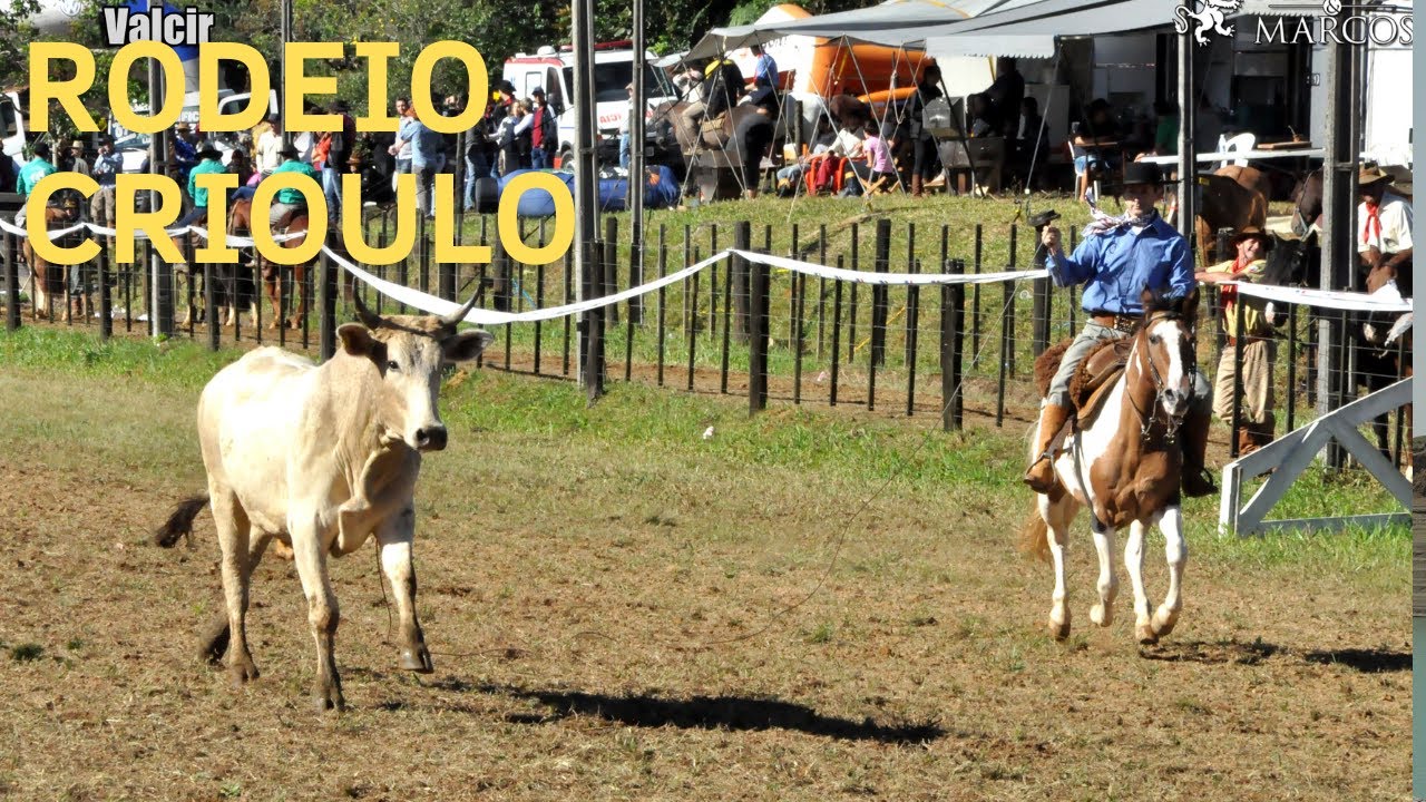 RODEIO CRIOULO - YouTube