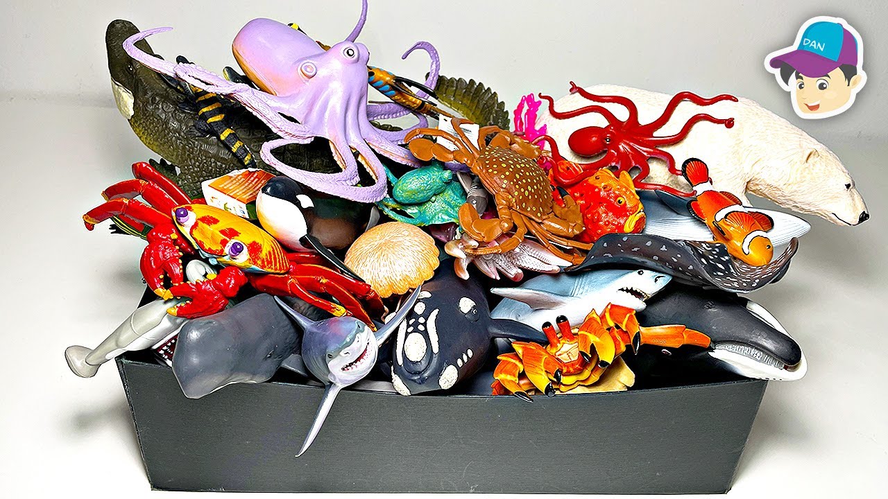 Sea Animals - Sharks, Whales, Turtles, Clown Fish, Crab, Dolphins ...