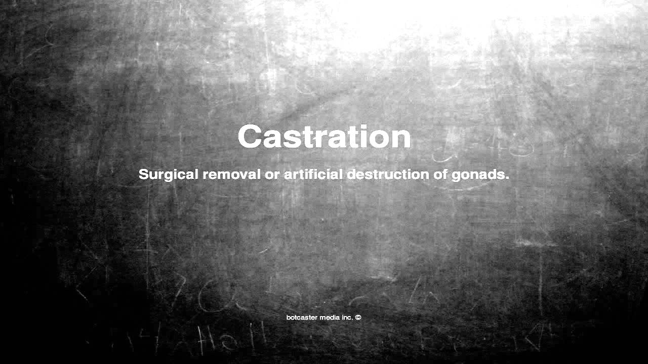Medical vocabulary: What does Castration mean - YouTube