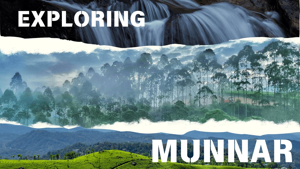Top 15 Attractions in Munnar: Tea Gardens, Waterfalls, and Scenic Views ...