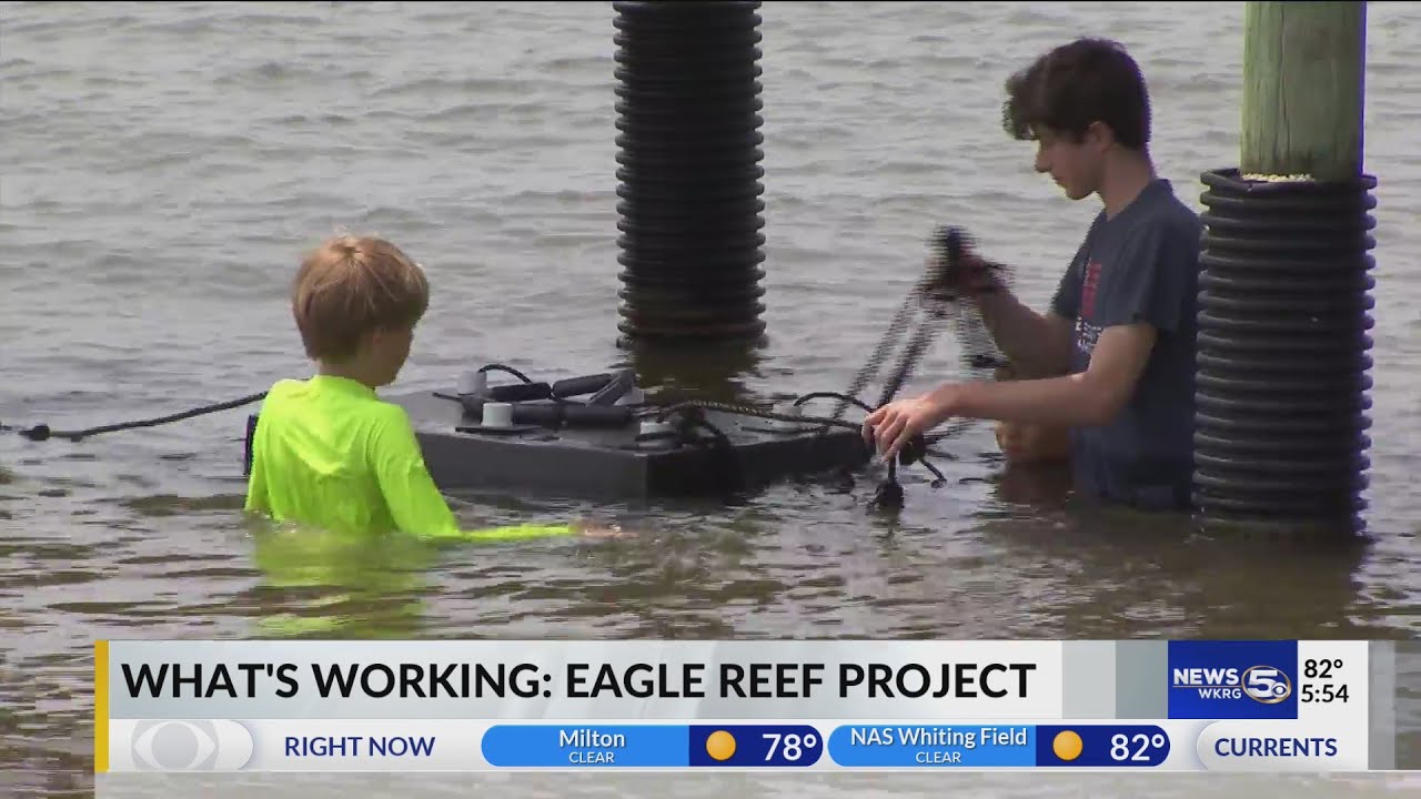 What's Working: Eagle Reef Project - YouTube