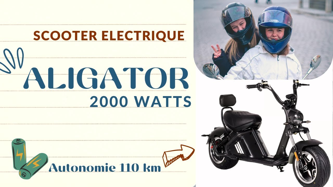 Super ALIGATOR X 2000 watts - YouTube