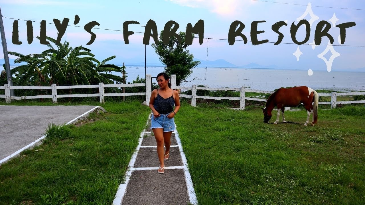 Lily's Farm Resort / Jalajala, Rizal / Team Building - YouTube