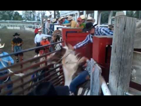 Girl Bronc Rider - YouTube