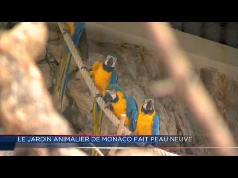 Le zoo de Monaco fait peau neuve - YouTube