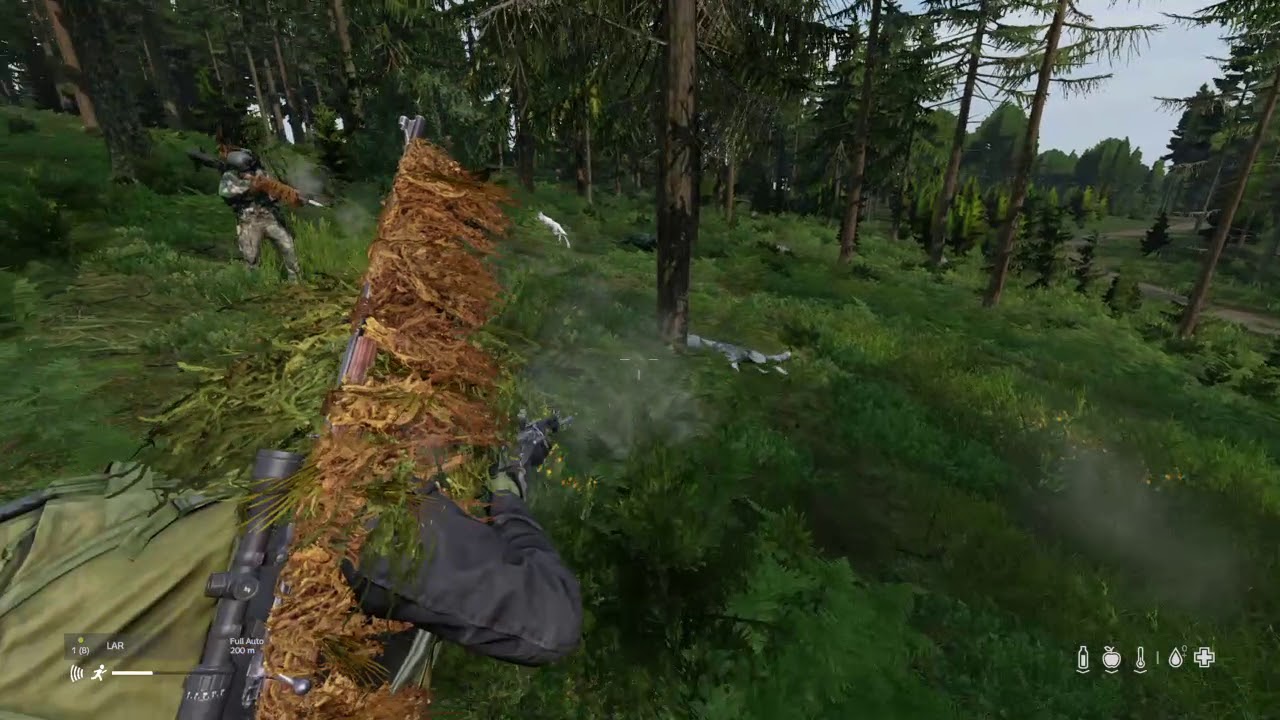 DayZ Wolves and Bear, Thanks - YouTube