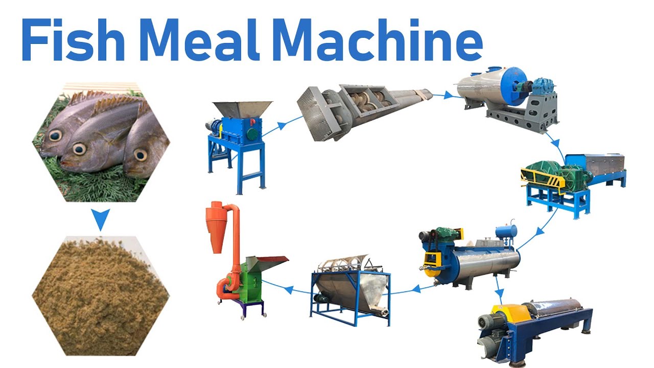 Popular Fish Meal Machine Plant for Sale! How to Make Fish Meal Step by ...
