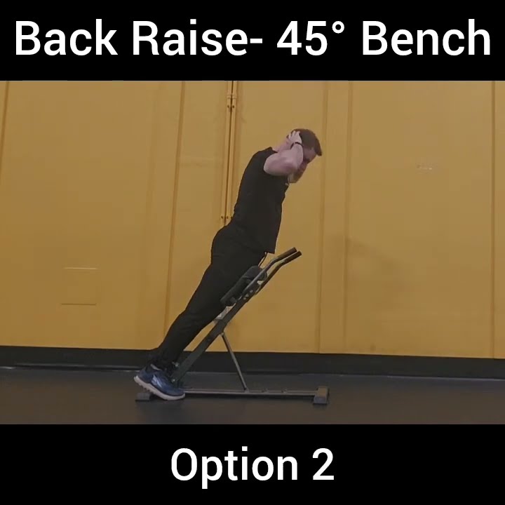 Back Raise- 45° Bench - YouTube