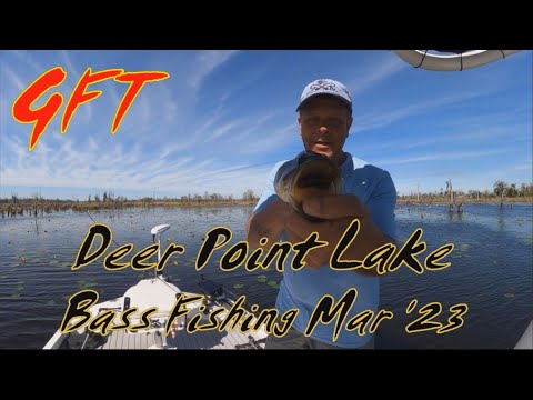 Bass Fishing Deer Point Lake, Mar '23 - YouTube