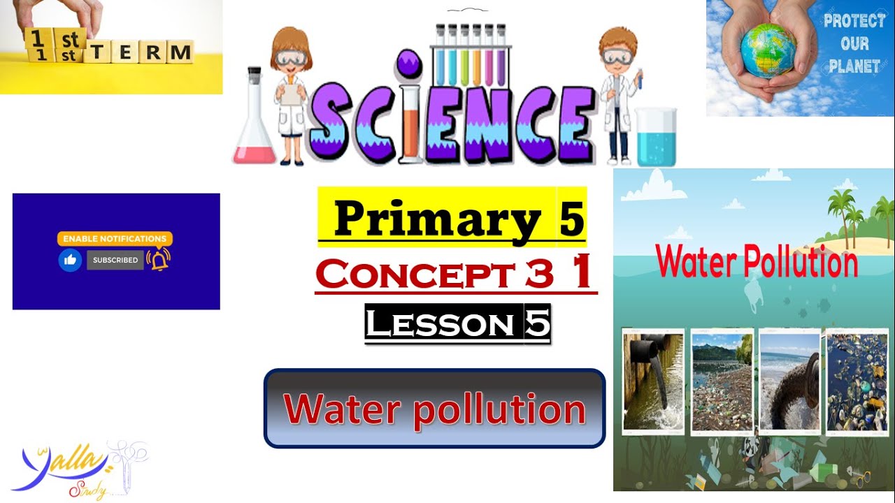 Science primary 5 concept 3.1 lesson 5 theme 3 2nd term/water pollution ...