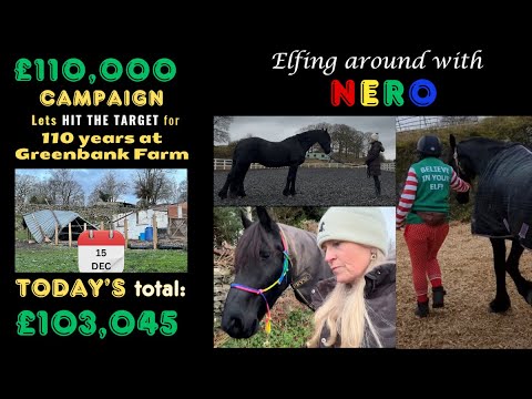 Nero 🌈 movement progress | Christmas Wishlist gifts - YouTube