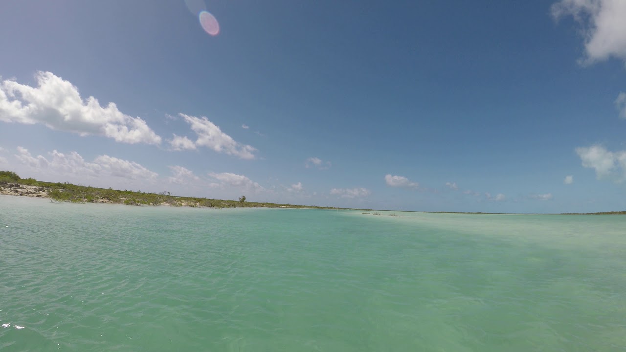 Long Island Bahamas Snakes - YouTube