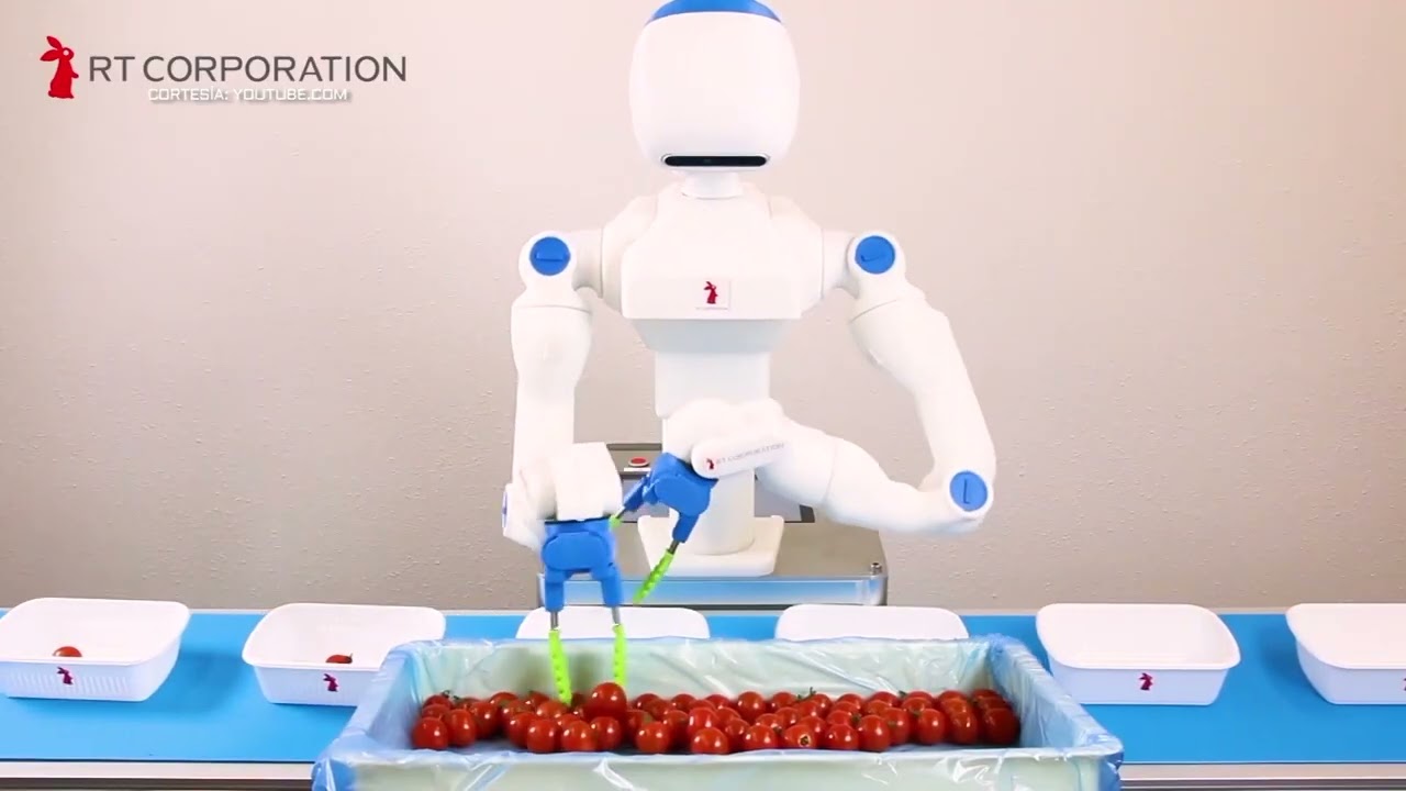 Tech lo Explico – Foodly, el robot que empaca comida para llevar - YouTube