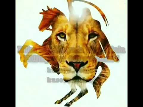 dini status hz Eli haqda