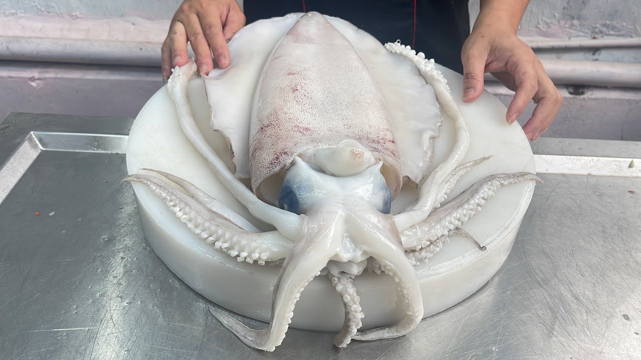 SASHIMI SQUID FISH // Asian chef - YouTube