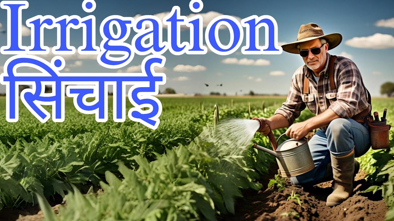 Irrigation Systems: Part-13 Understanding the Basics and Benefits for Sustainable Agriculture ...