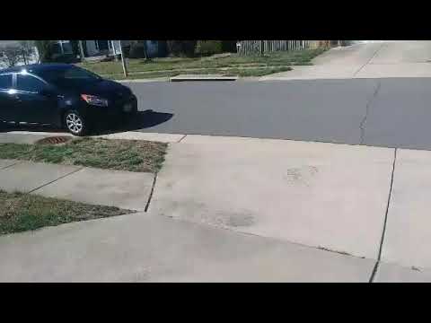 Teletubbies and Friends Short: Stinky Winky + Magical Event: Animal ...