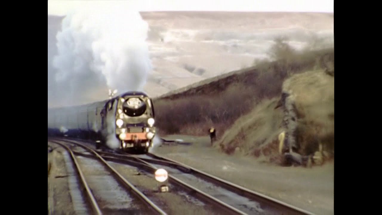 Ray Hammond Reel 166 - YouTube