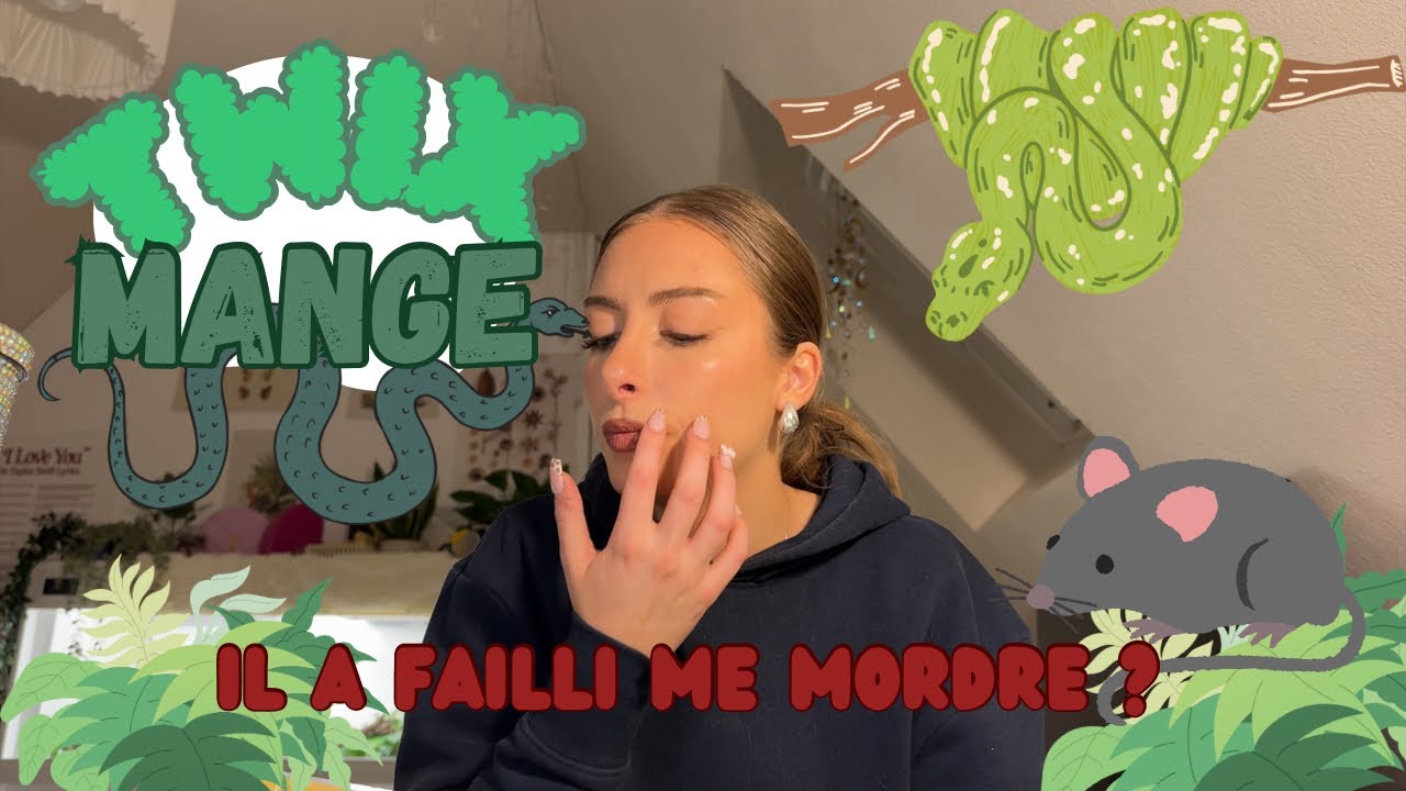 MON PYTHON MANGE | il était super énervé - YouTube