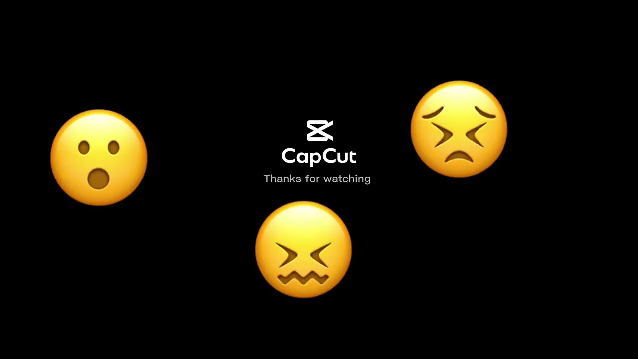 Micah…still misbehaving. Garbage Can Terrorizer! #furbabies #help # ...