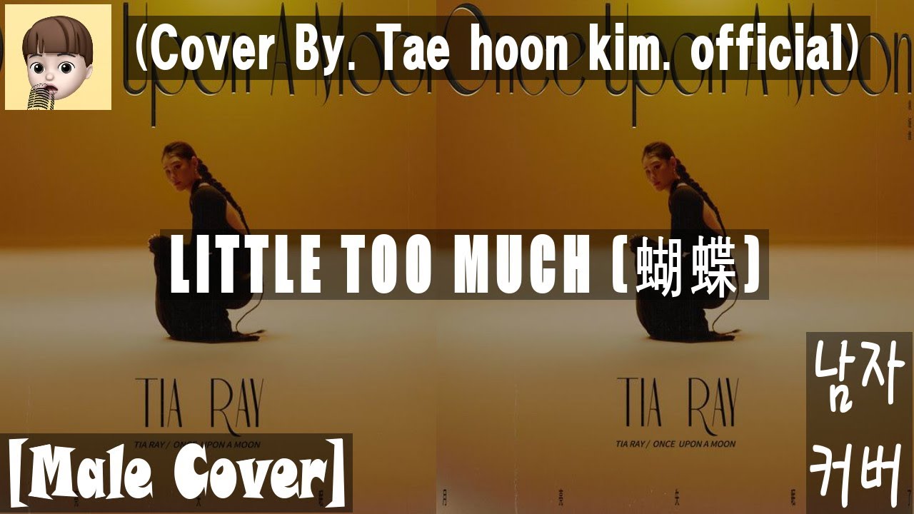Tia Ray 袁娅维 (티아 레이) - LITTLE TOO MUCH (蝴蝶) / [Male Singing Cover] [남자 ...