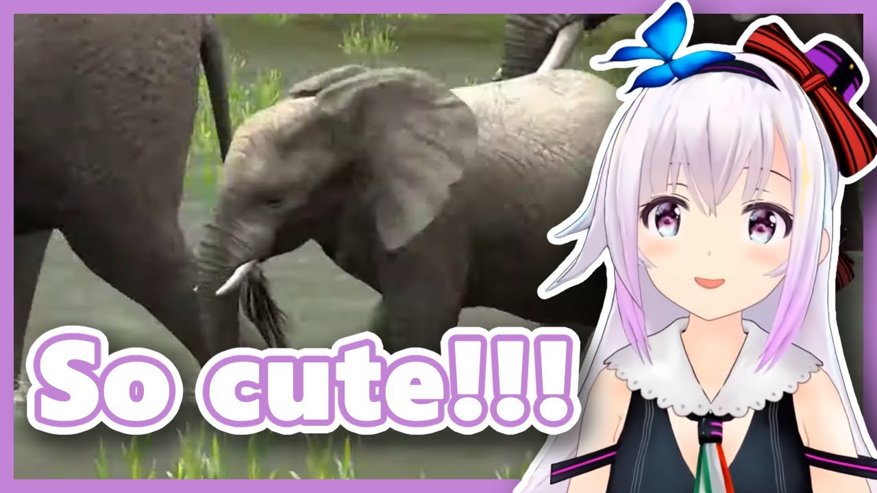 Pino plays the PS3 safari game Afrika 📸 | VTuber Subtitles English ...