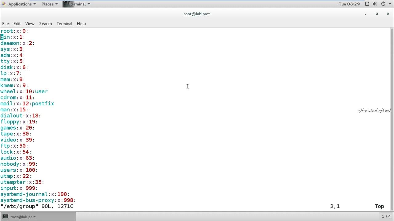 How to Create Users in Linux useradd Command Creating and managing groups on Linux - YouTube