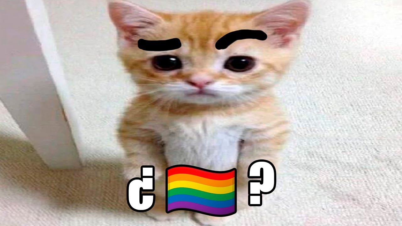 Shitposting Compilation 39 - YouTube