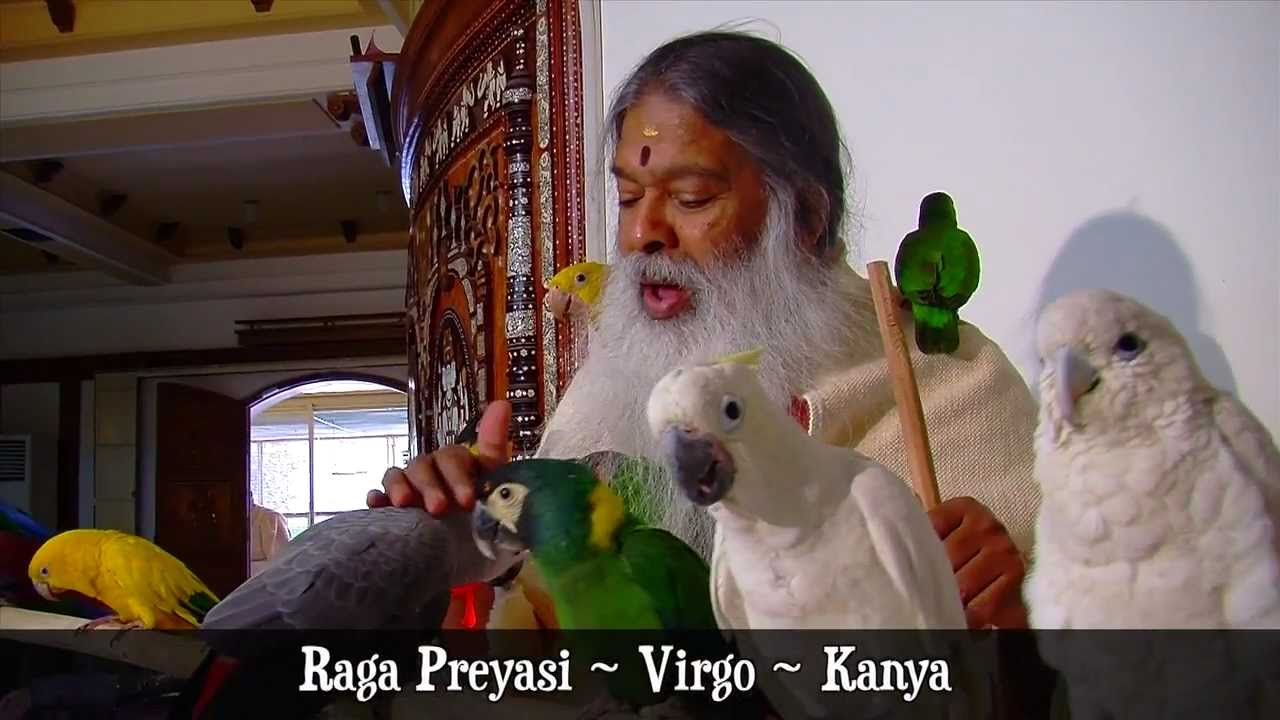 Parrots talking to Gurudeva at Shuka Vana, India - YouTube