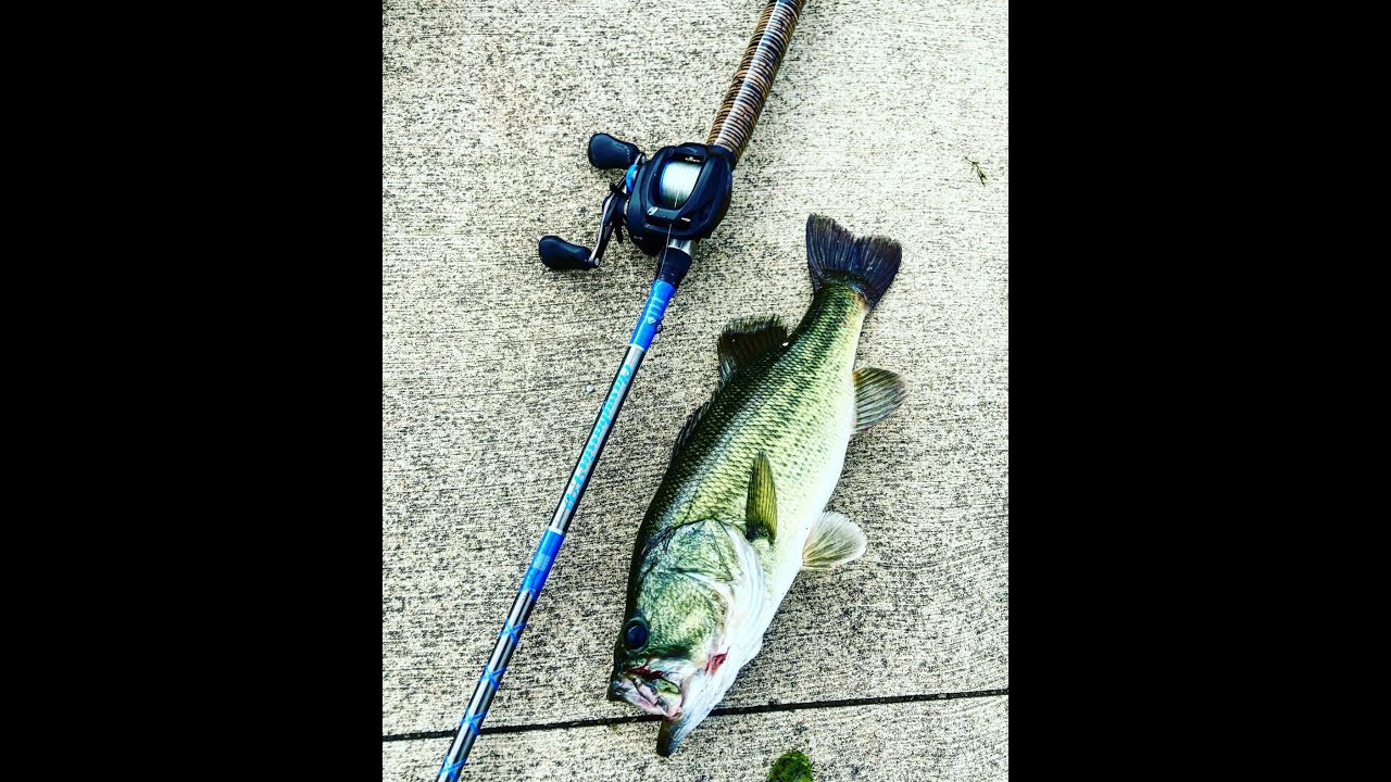 Hobo Custom Rods Review! - YouTube