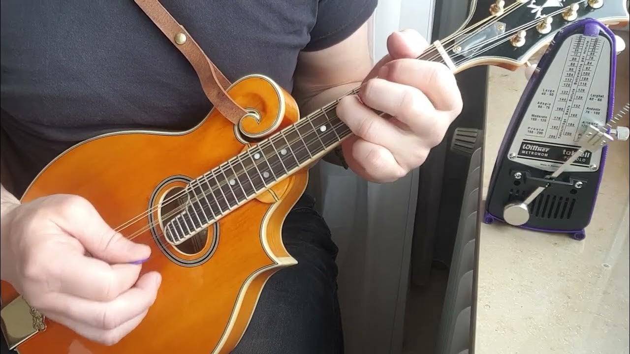 The Flop-Eared Mule - YouTube