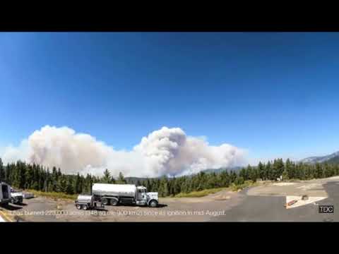 Giant Forest Fire 🔥 - YouTube