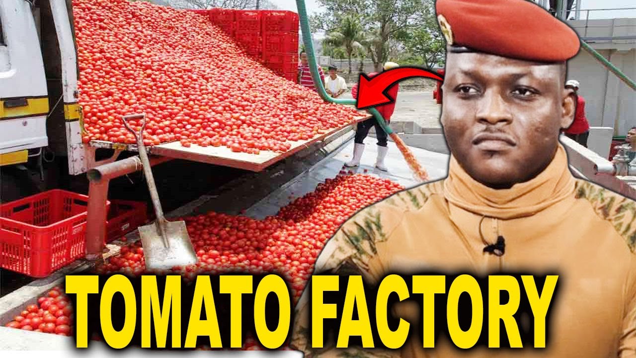 Ibrahim Traore’s Sends Shock WAVES Across the World With $8.1M Tomato ...