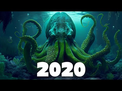 Evolution of Kraken - YouTube
