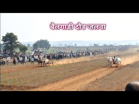 बैलगाड़ी दौड जलवा।सरपंच साब मेंहदुल।ox race। khillar bull। bailanchi ...