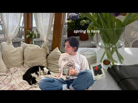 Life updates, spring reset, turning my sunroom into a cozy reading nook