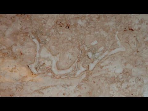 195 milyon yıllık mermerde mucizevi \