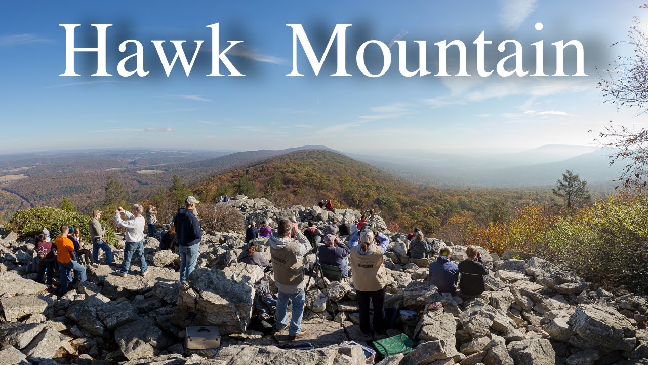 Hawk Mountain 2018 - YouTube