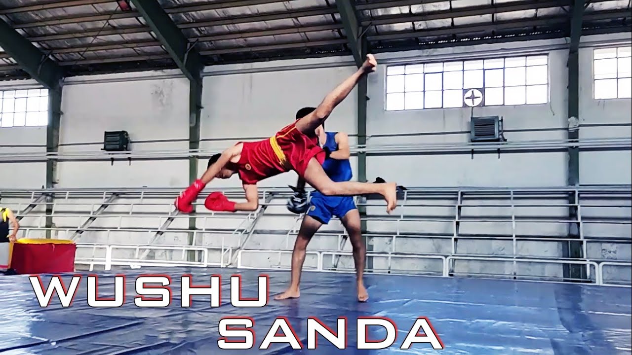 Wushu Sanda : The Dynamic Martial Art for Combat and Competition - YouTube
