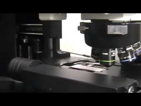 Prior Scientific PL200 Automated Slide Loading System - YouTube