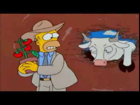 Tomacco! | The Simpsons | Know Your Meme