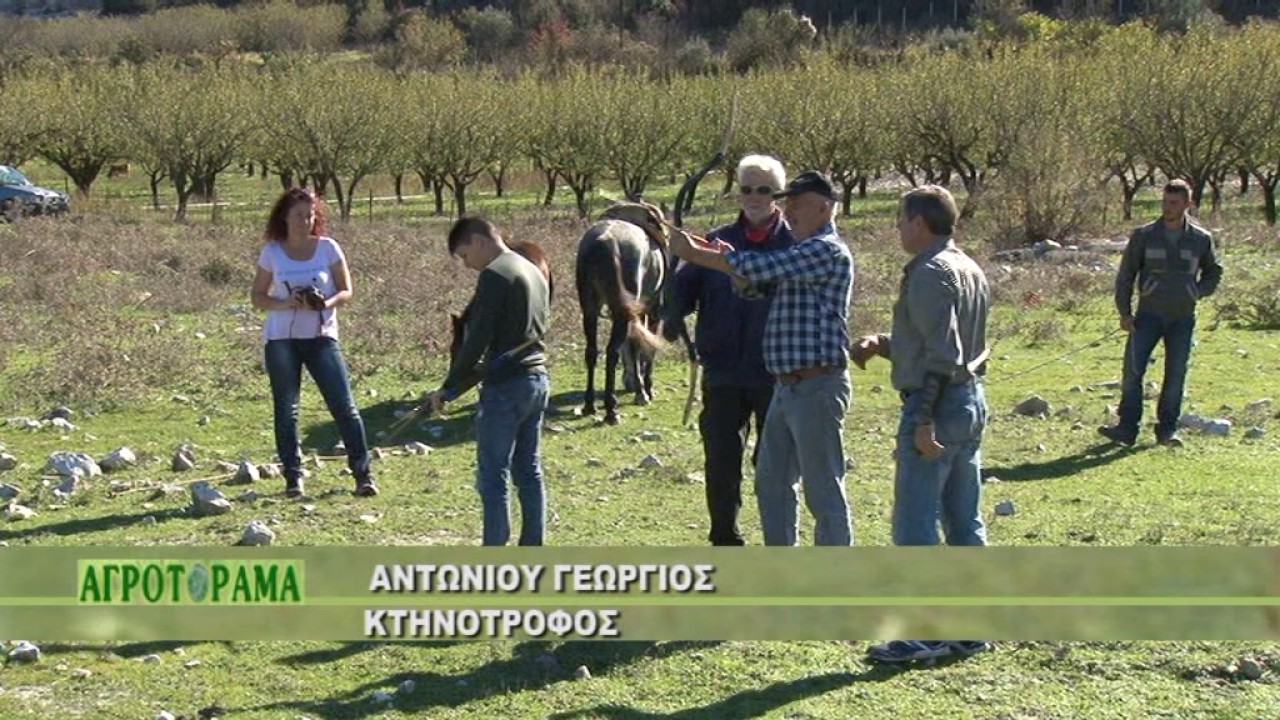 ΜΕΤΑΚΙΝΟΥΜΕΝΗ ΚΑΡΛΑ-ΤΟΞΟΒΟΛΙΑ-ΚΤΗΝΟΤΡΟΦΙΑ - YouTube