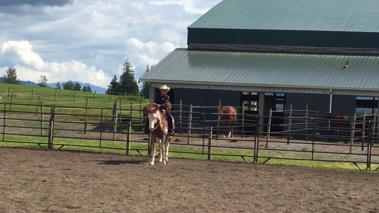 Ranch riding classic - YouTube