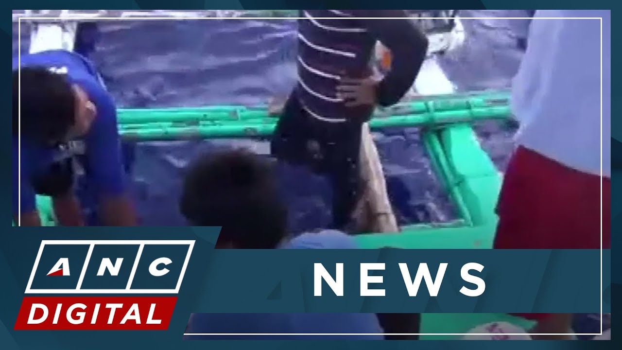 PH to deploy more floating assets in West PH Sea | ANC - YouTube