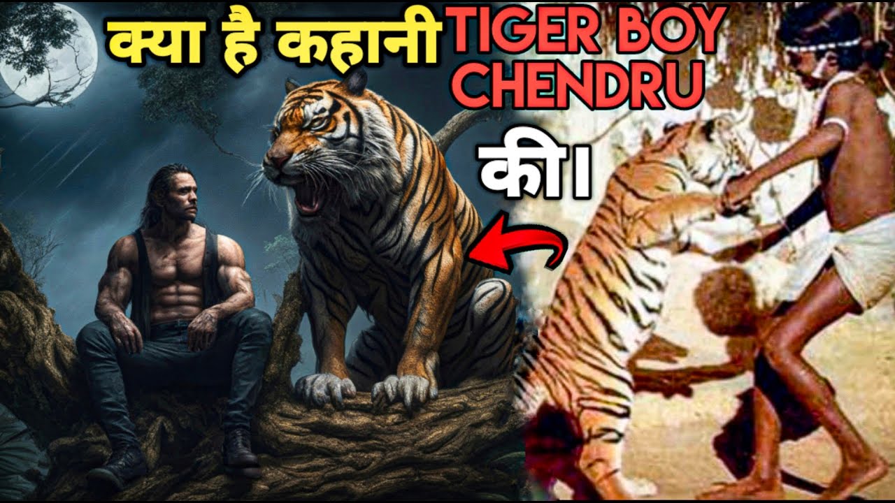 The Heart Touching True Story of A Tiger and A Boy Chendru Mandavi ...