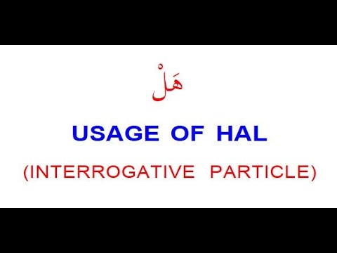 Use of HAL (english) | Question Word | Interrogative Particle ...