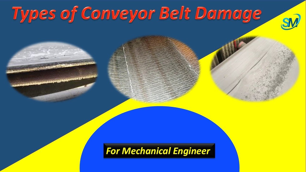 Conveyor Belt | Types of Conveyor Belt Damage | Material Handling ...